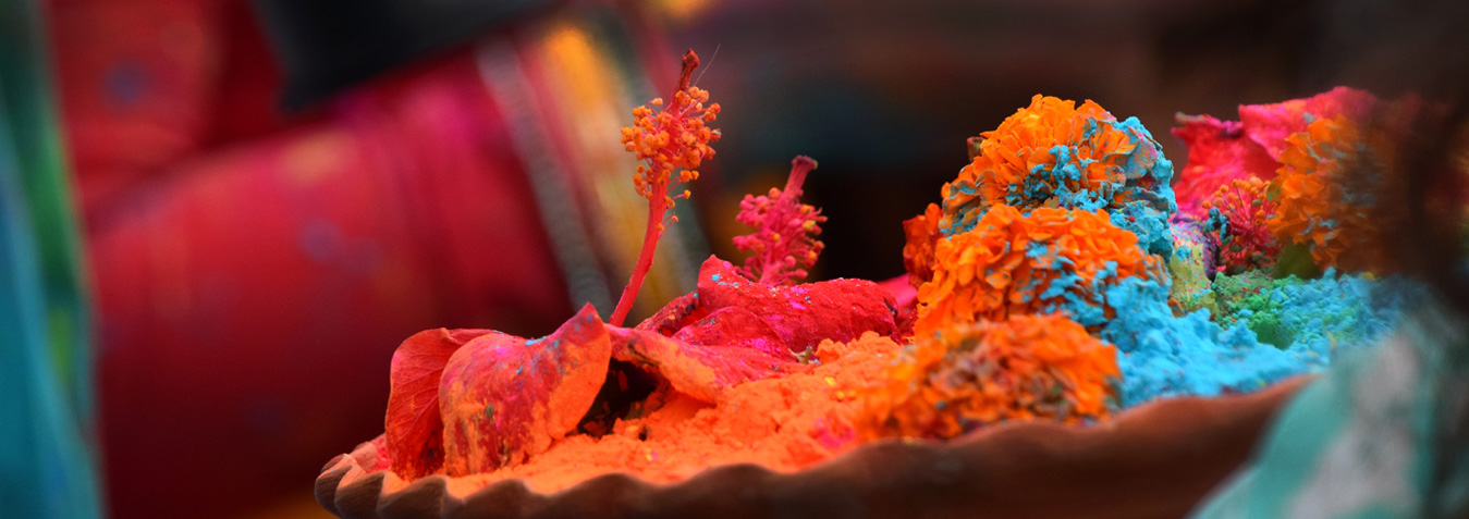 Celebrate colours of life | Blog | Worldwide Adventures India